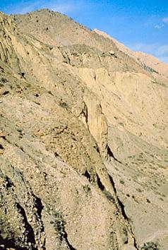 Mother Earth's Minerals - Volcanic Basalt